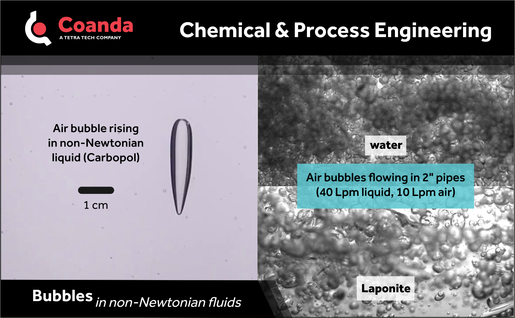 Bubbles in non-Newtonian Flows - Coanda Research & Development