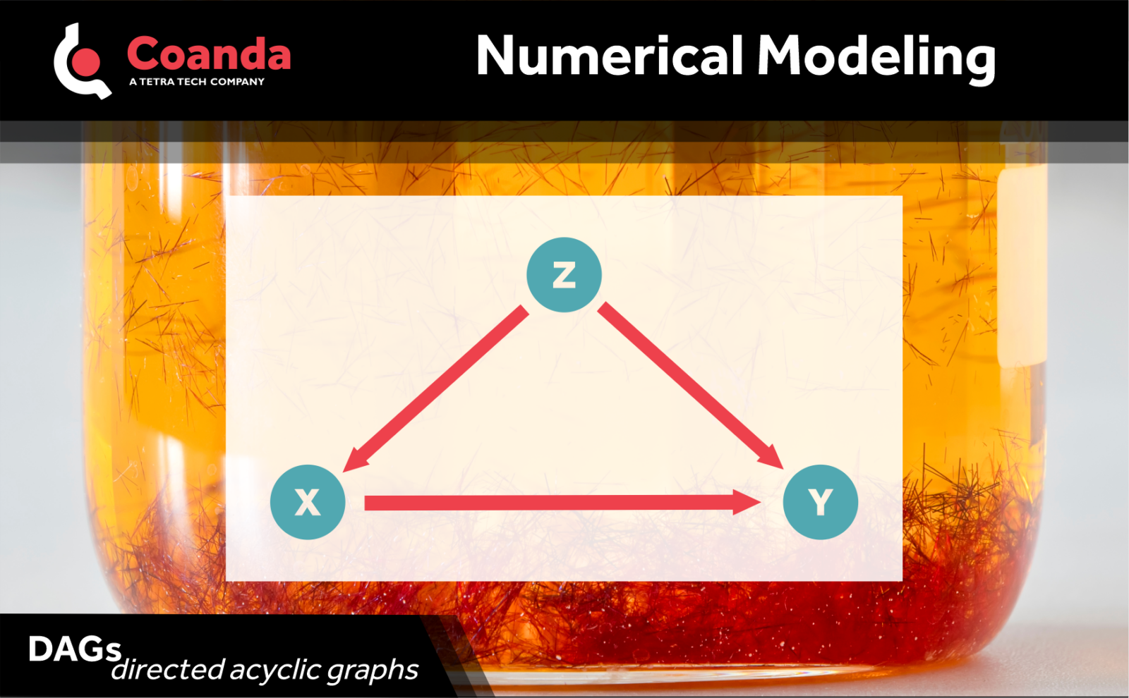 Directed Acyclic Graphs (DAGs) - Coanda Research & Development
