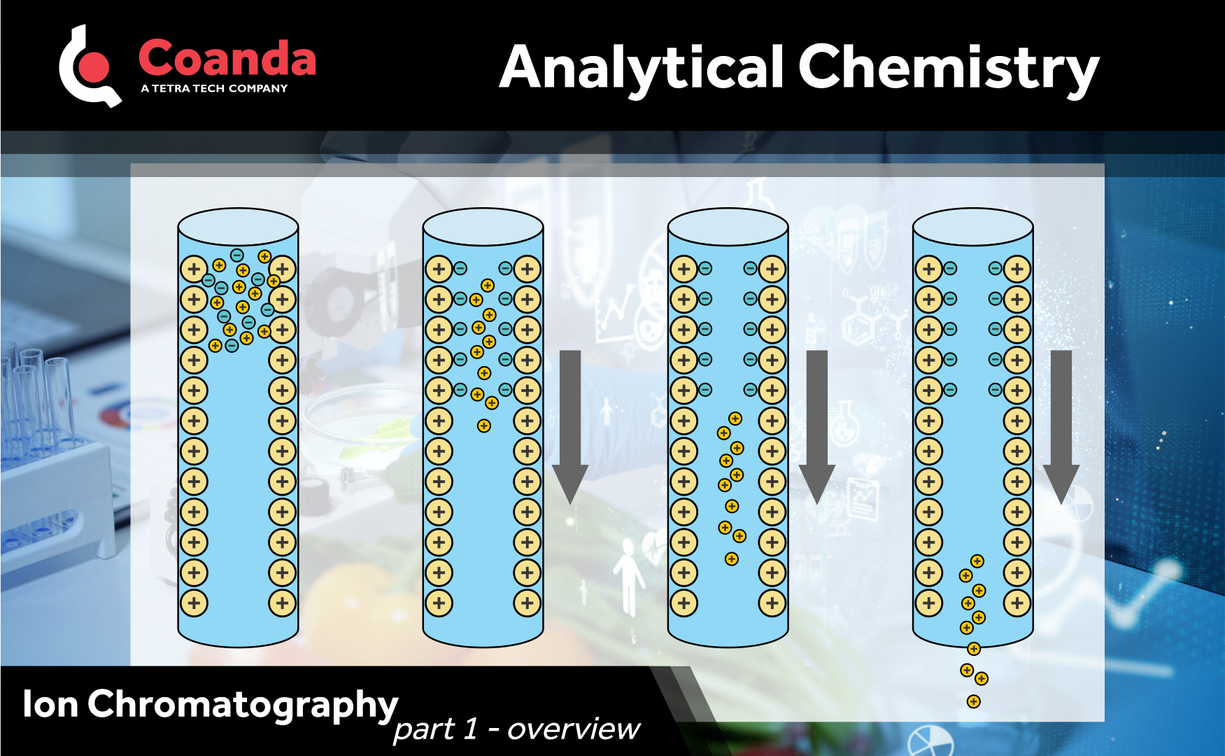 Ion Chromatography - Coanda Research & Development