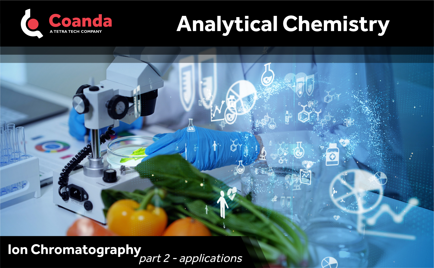 Ion Chromatography - Coanda Research & Development