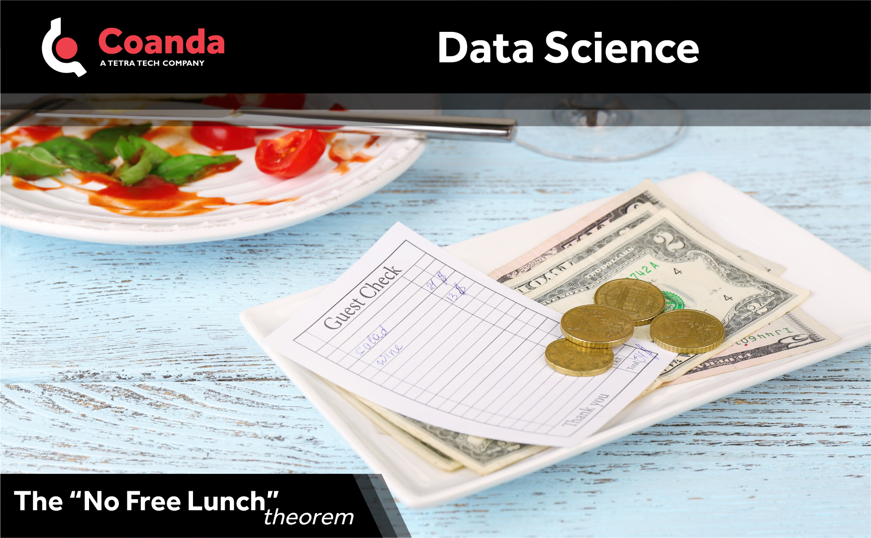 No Free Lunch Theorem - Coanda Research & Development