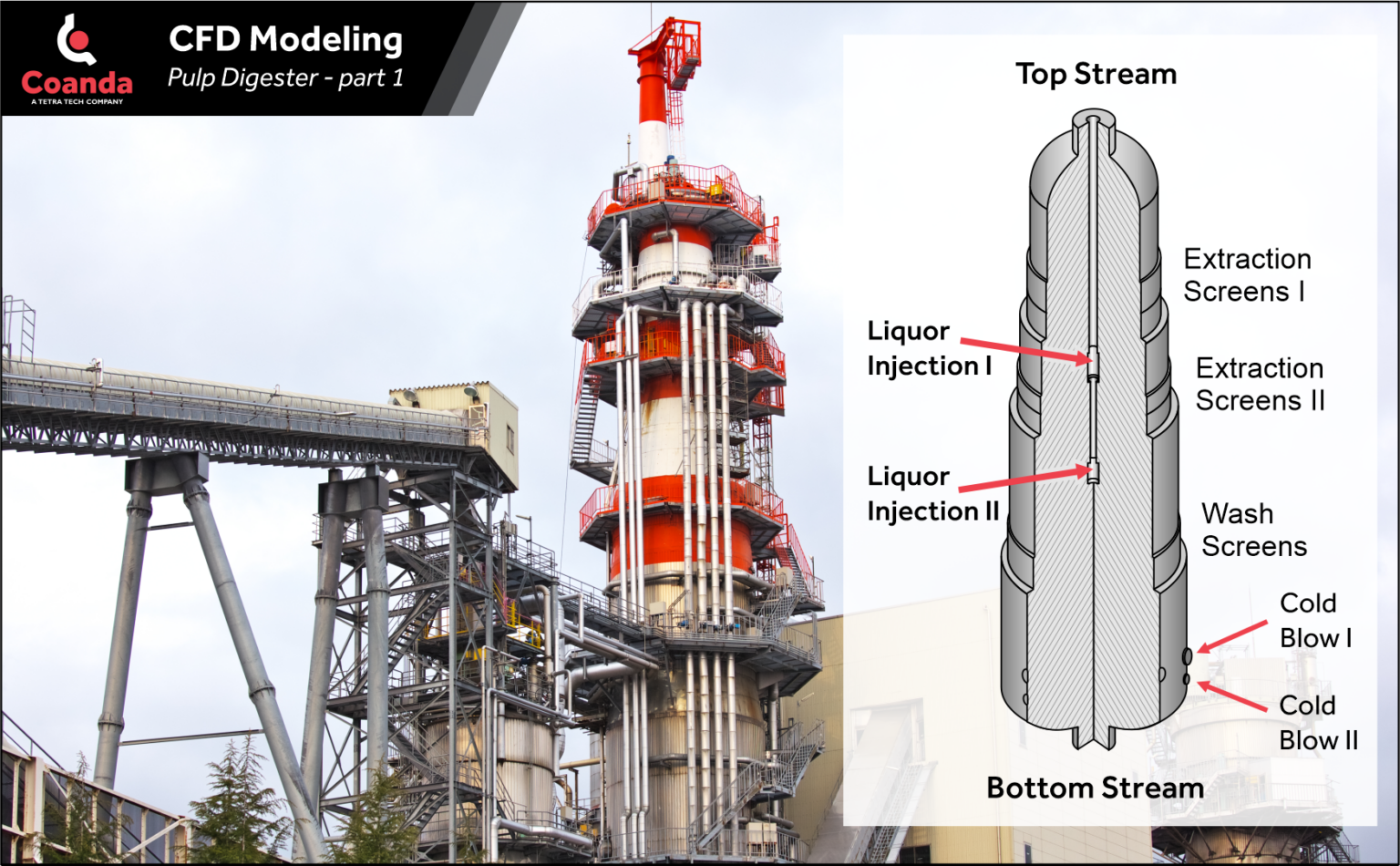 CFD Modeling Pulp Digesters - Coanda Research & Development